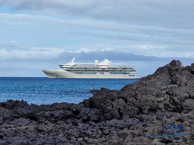 Silver Origin: un barco para las Islas Galápagos | Cruising Journal