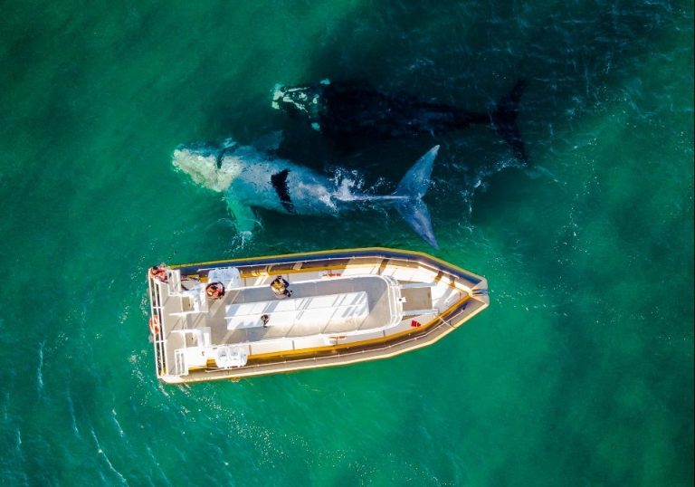 A la descubierta de Puerto Madryn con Larsen Tour | Cruising Journal