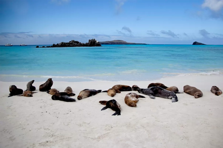 Visiting Galapagos: Tour entre ilhas fascinantes | Cruising Journal